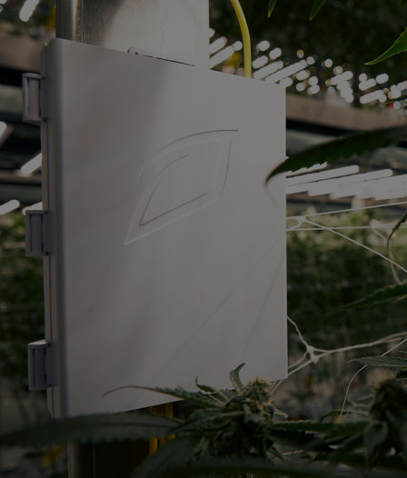 Growlink Core Controller | Ultimate Control for Cannabis Cultivation